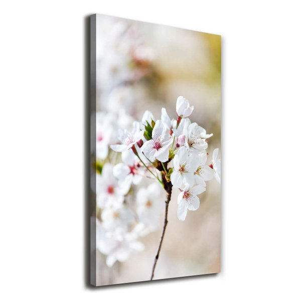 Brayden Studio Kirschblüten - Kunstdrucke auf Leinwand - Wrapped Canvas | Wayfair.de